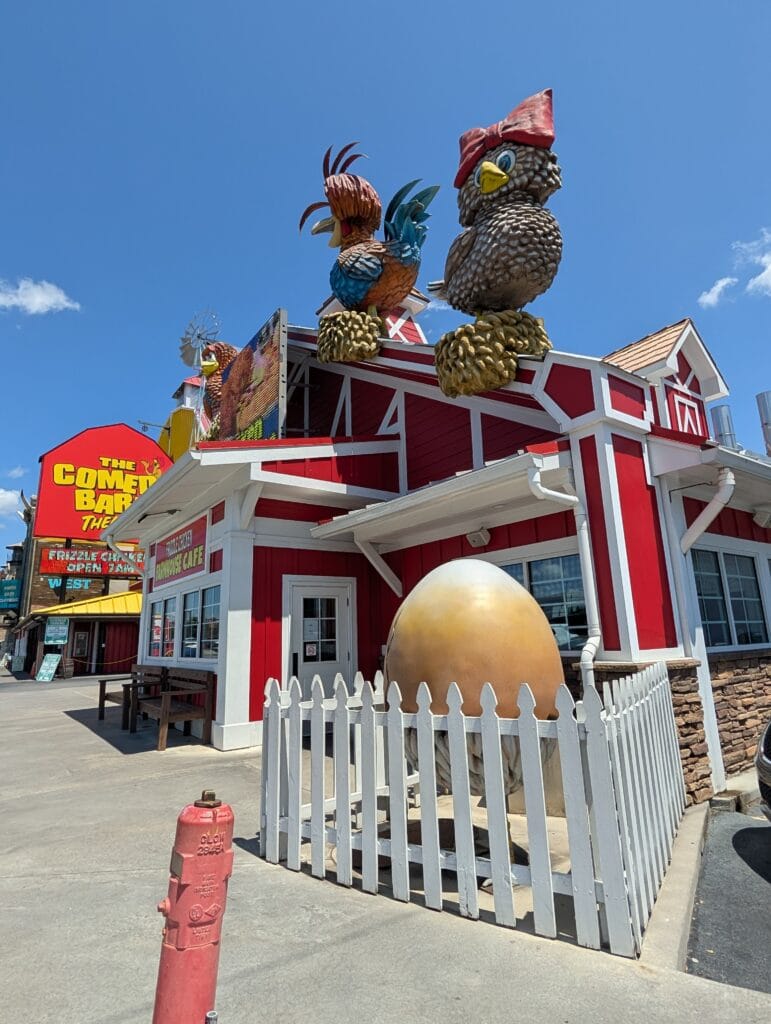 Frizzle Chicken Cafe: A Finger-Lickin' Good Time - Simply Touring